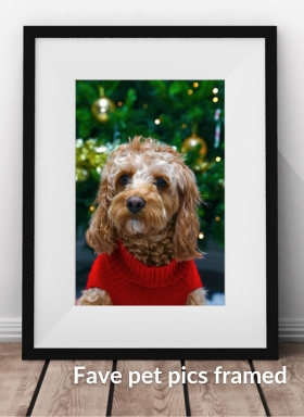 OddPrints - Easy printing for tricky frames.